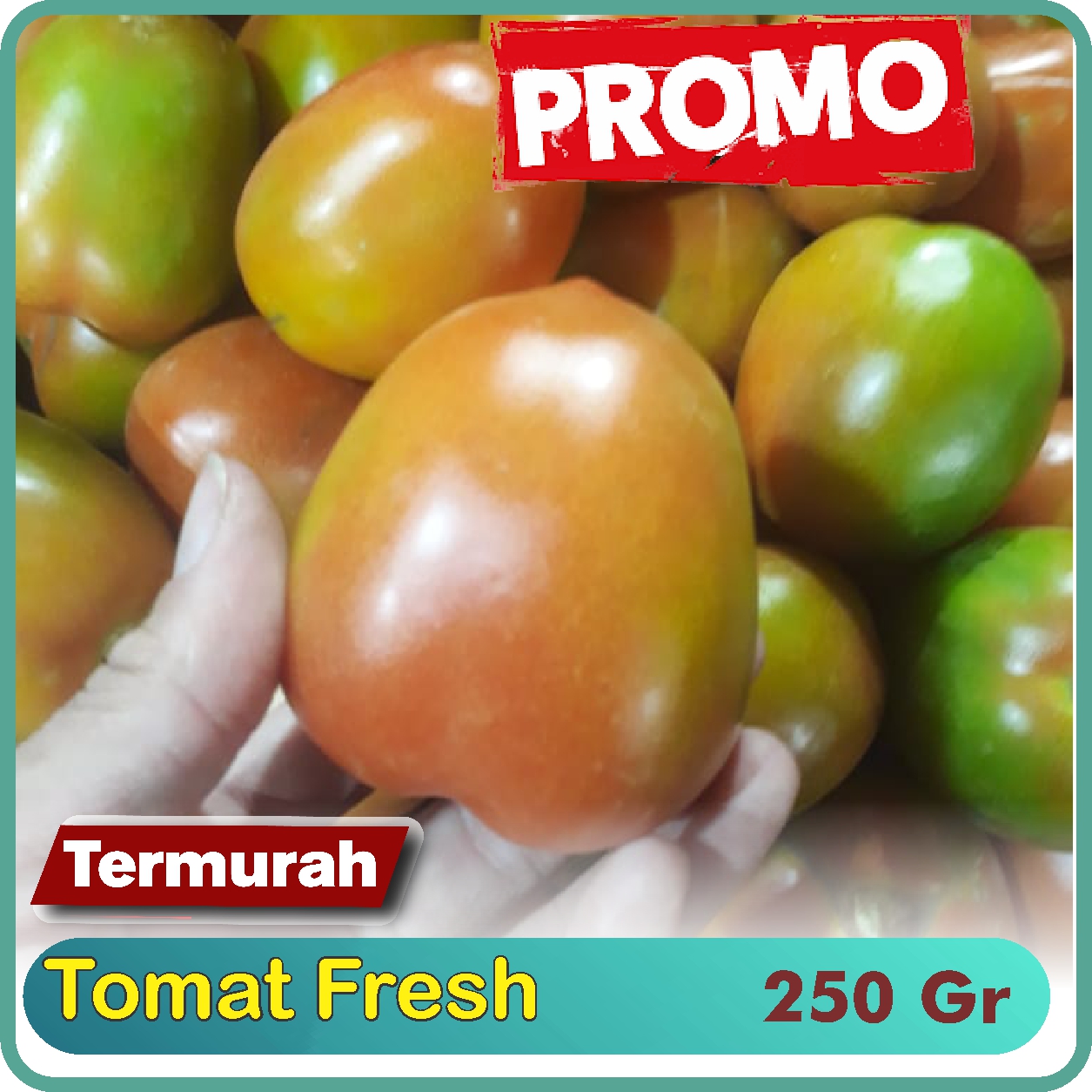 Tomat Sayur 250 gram | Lazada Indonesia