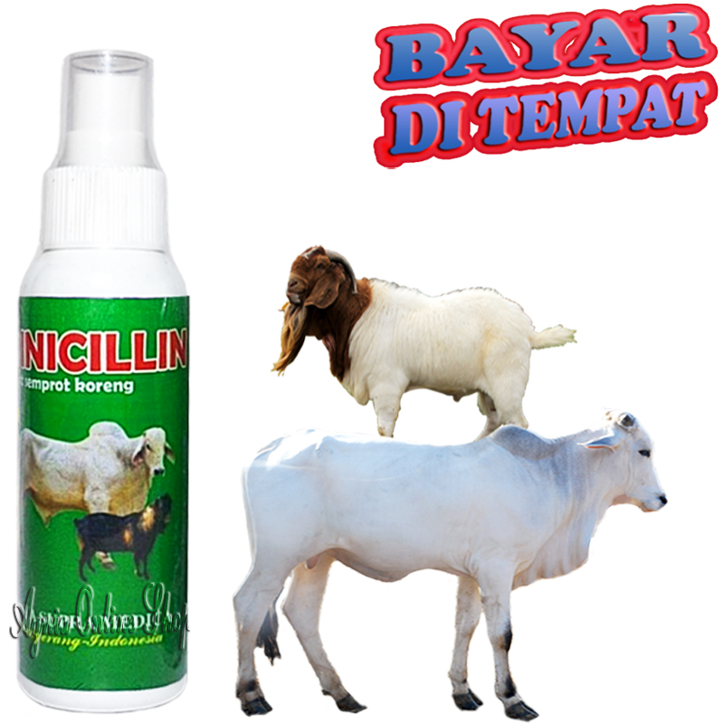 OBAT SAPI KERBAU KAMBING PINICILLIN SAKIT KORENG SCABIES JAMUR | Lazada ...