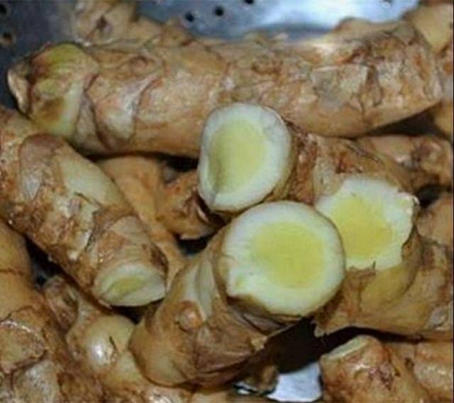 Temu mangga fresh segar / curcuma mangga 1 kg | Lazada Indonesia