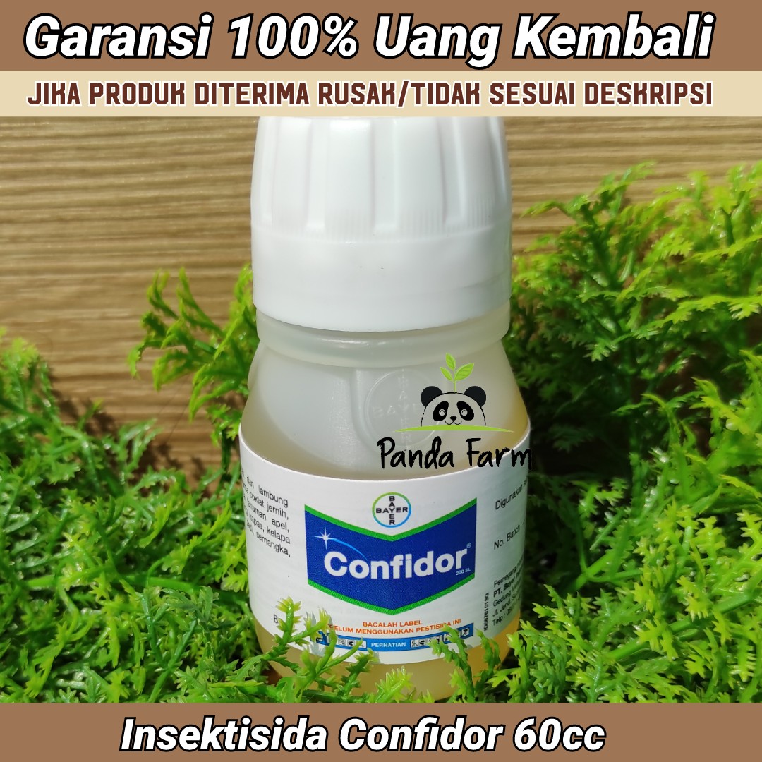 Pembasmi Hama Wereng Insektisida Confidor 60cc | Lazada Indonesia