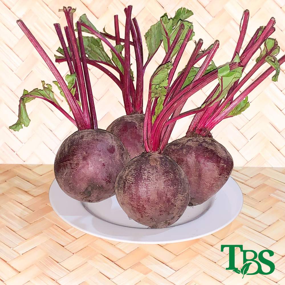 BUAH BIT FRESH 1 KG | BEET ROOT | Lazada Indonesia