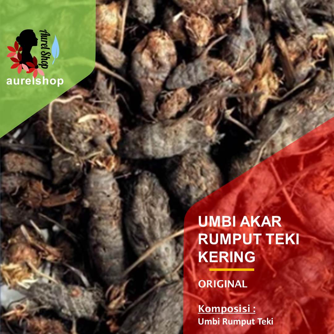 Umbi Rumput Teki Kering 1 kg | Lazada Indonesia
