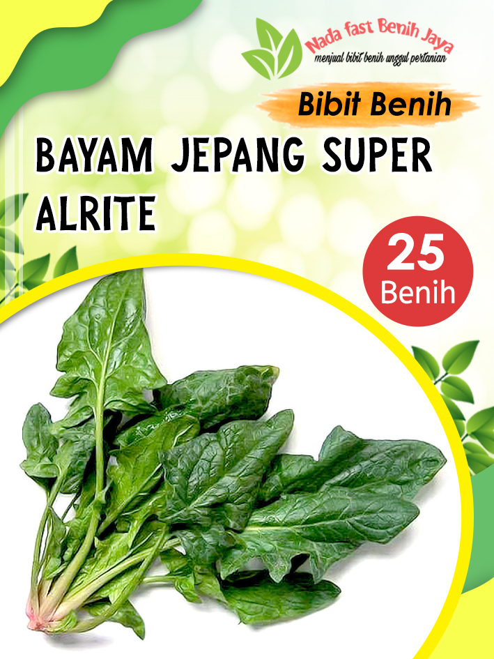 Nada fast benih jaya - 25 biji Bibit sayuran / biji sayur Bayam jepang super horenzo | Lazada ...