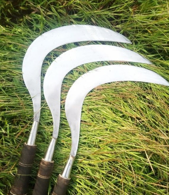 Arit Baja PER Super Tajam 39 Cm - Arit Lebar Asli Madura - Alat ...