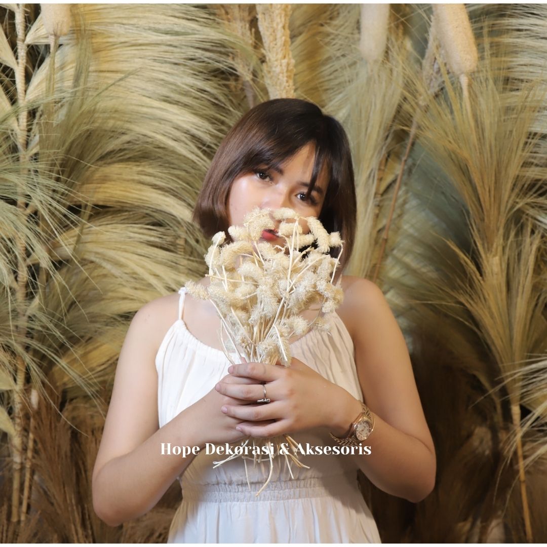 BUNGA PHOENIX KERING | Lazada Indonesia