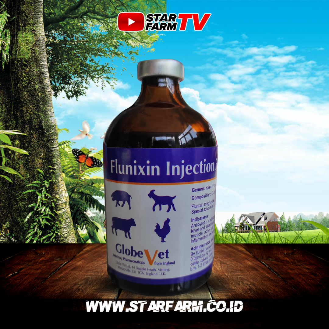 Flunixin Inj. 5% GlobeVet - Star Farm | Lazada Indonesia