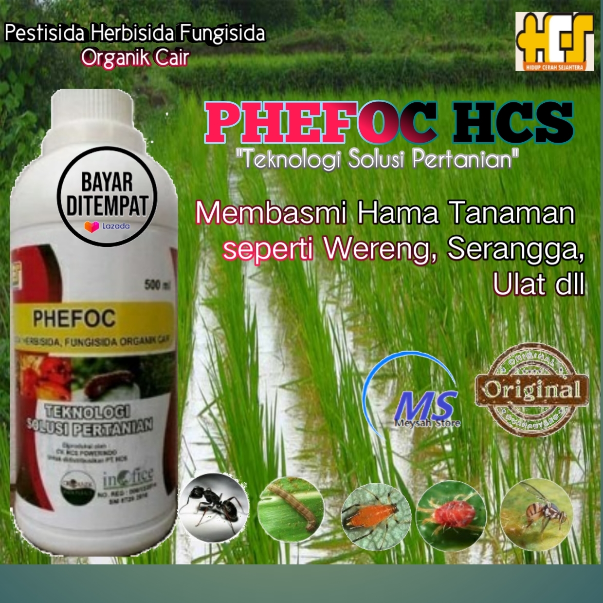 HCS - PHEFOC - Pupuk Organik Cair - Obat Anti Lalat Buah - Produk Ori ...