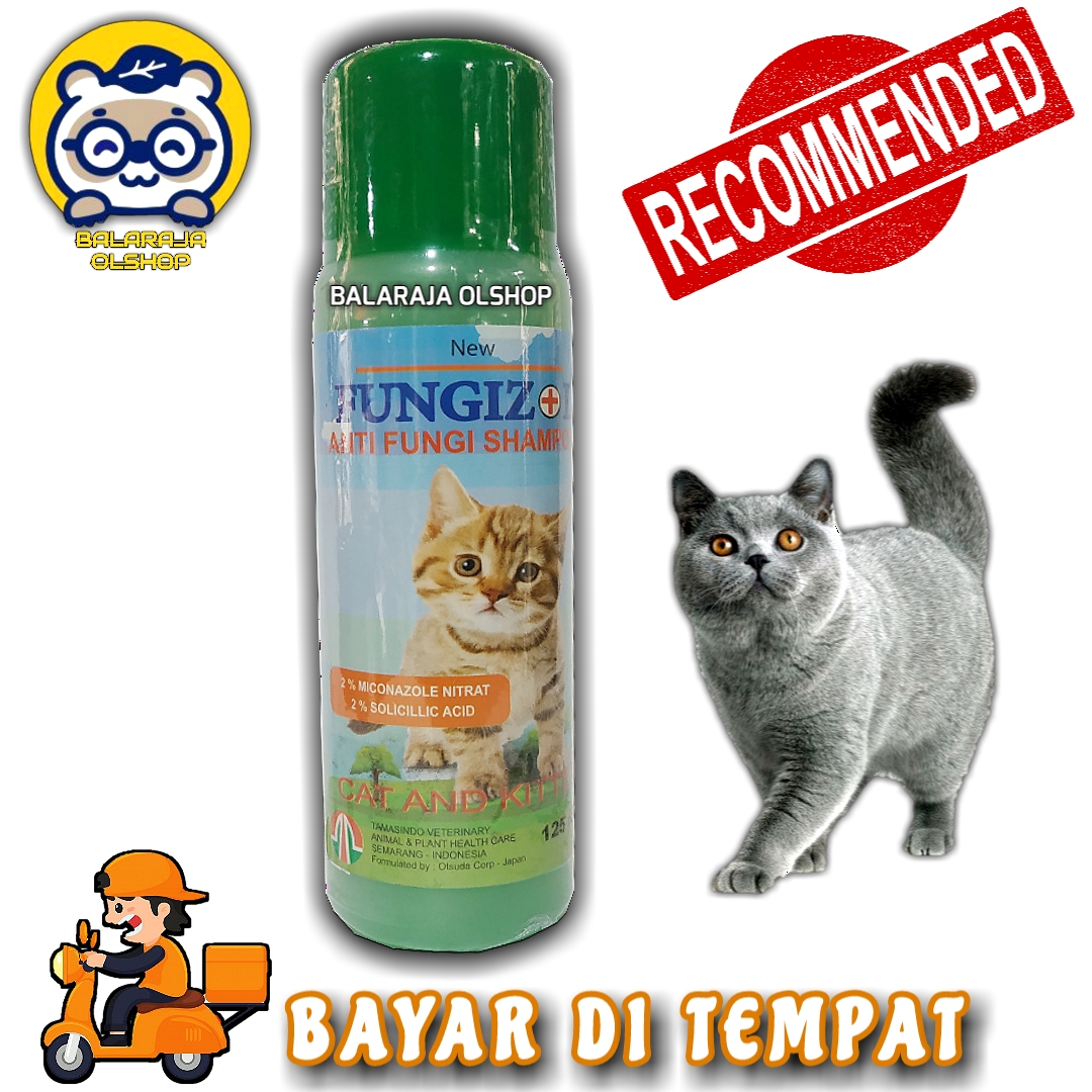 SAMPO KUCING/KITTEN ANTI JAMUR - FUNGIZOL | Lazada Indonesia