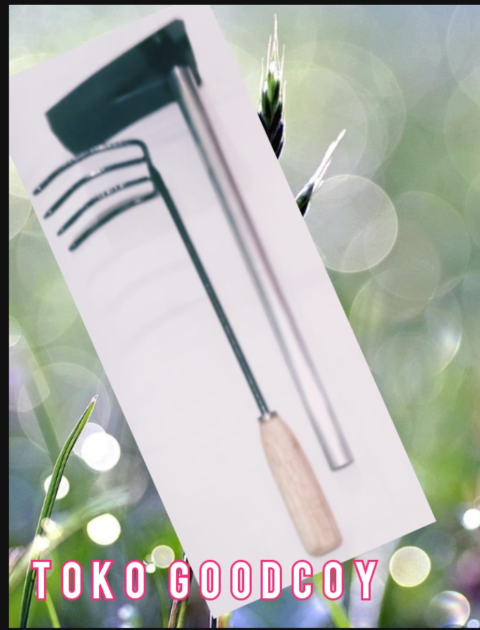 Cangkul mini garukan rumput paket berkebun 2in1 | Lazada Indonesia