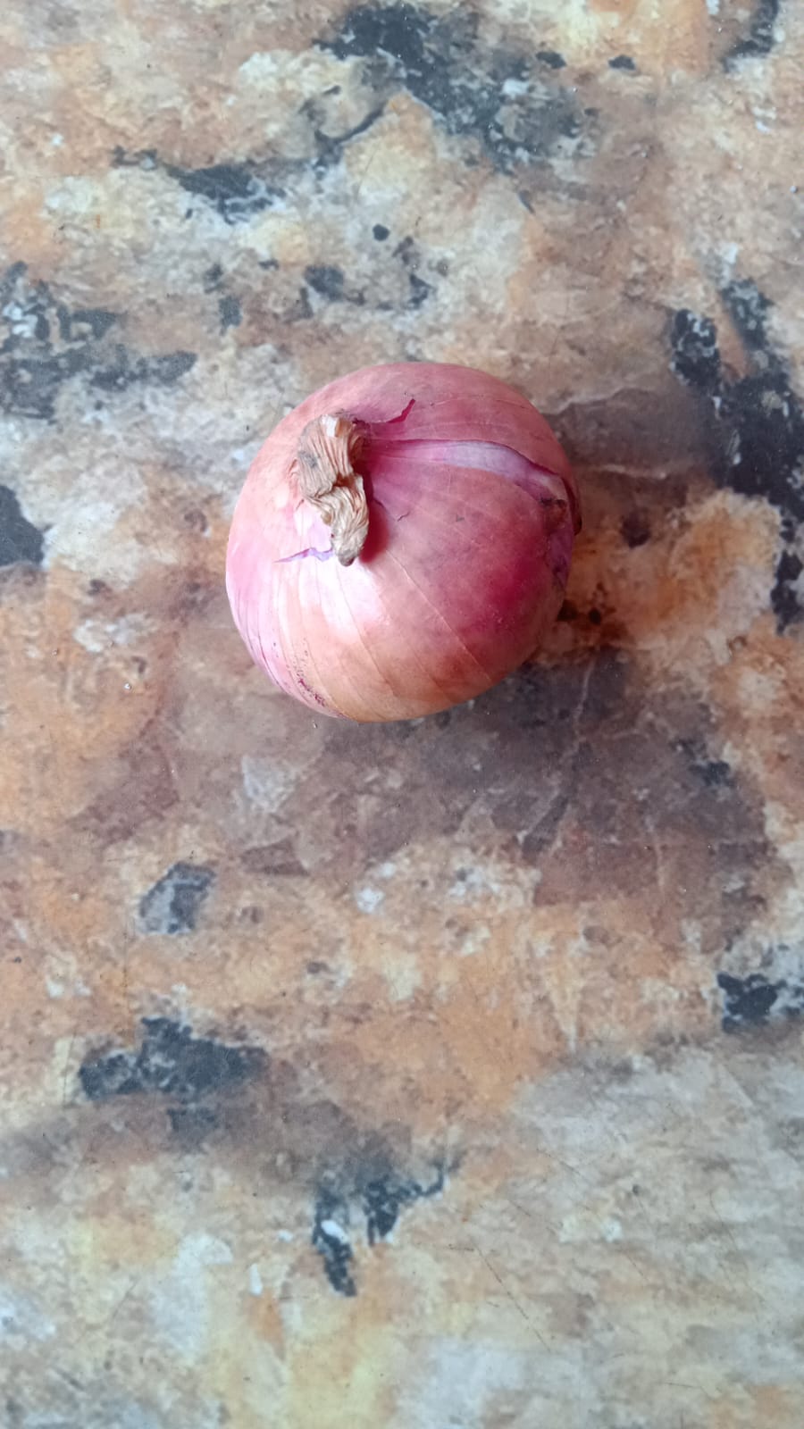 bawang merah india 1 kg | Lazada Indonesia