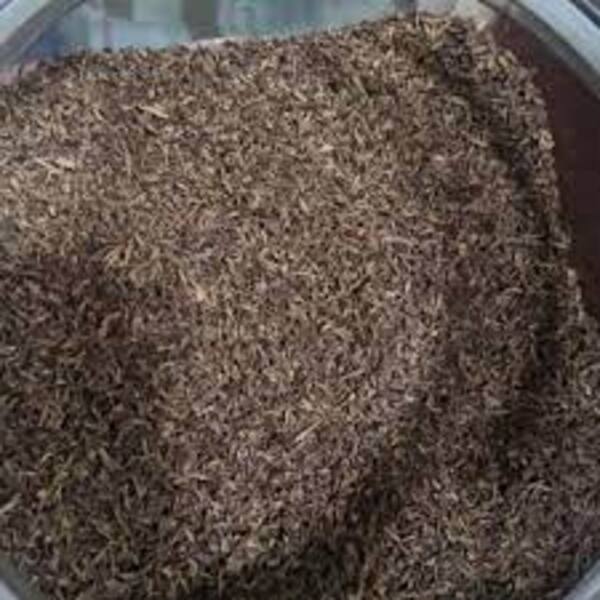 cengkeh manado I cengkeh rajangan I cengkeh super 100 gram | Lazada ...