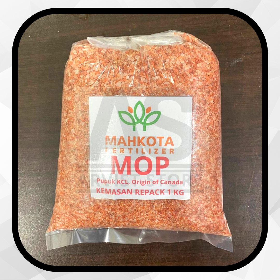 Pupuk KCL MAHKOTA MOP Origin Canada Kemasan Repack 1 KG | Lazada Indonesia
