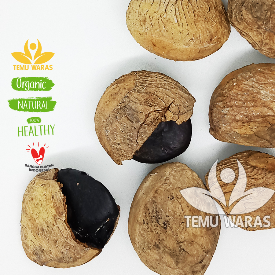 Kluwek 100gr / Kepayang / Keluak / Kluwak Super - Asli Gunung Merapi ...