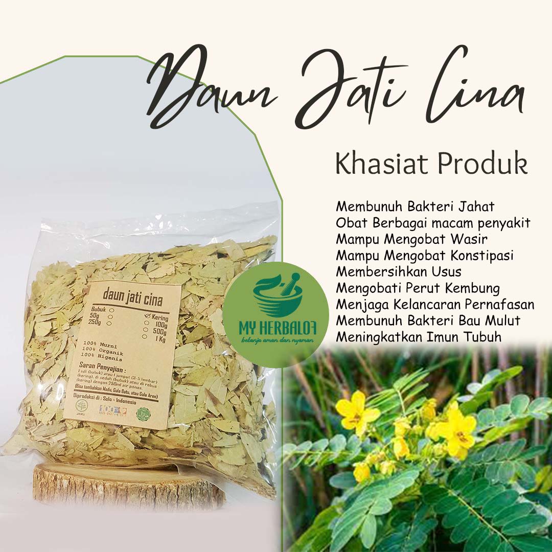 Herbal Daun Jati Cina Kering / Senna Alexandrina | Lazada Indonesia