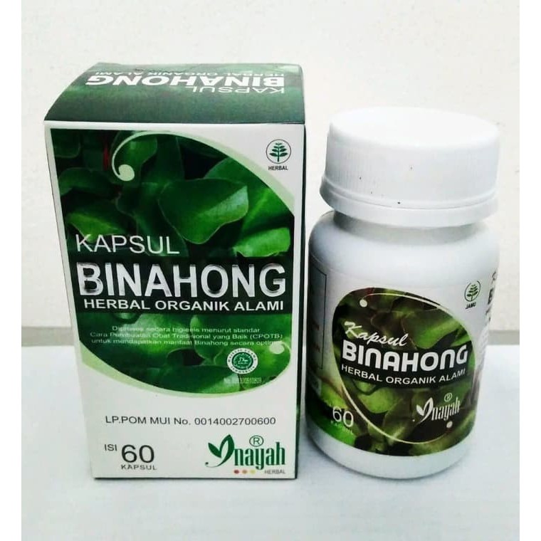 KAPSUL DAUN BINAHONG ORGANIK DAN ALAMAI 60 Kapsul | Lazada Indonesia
