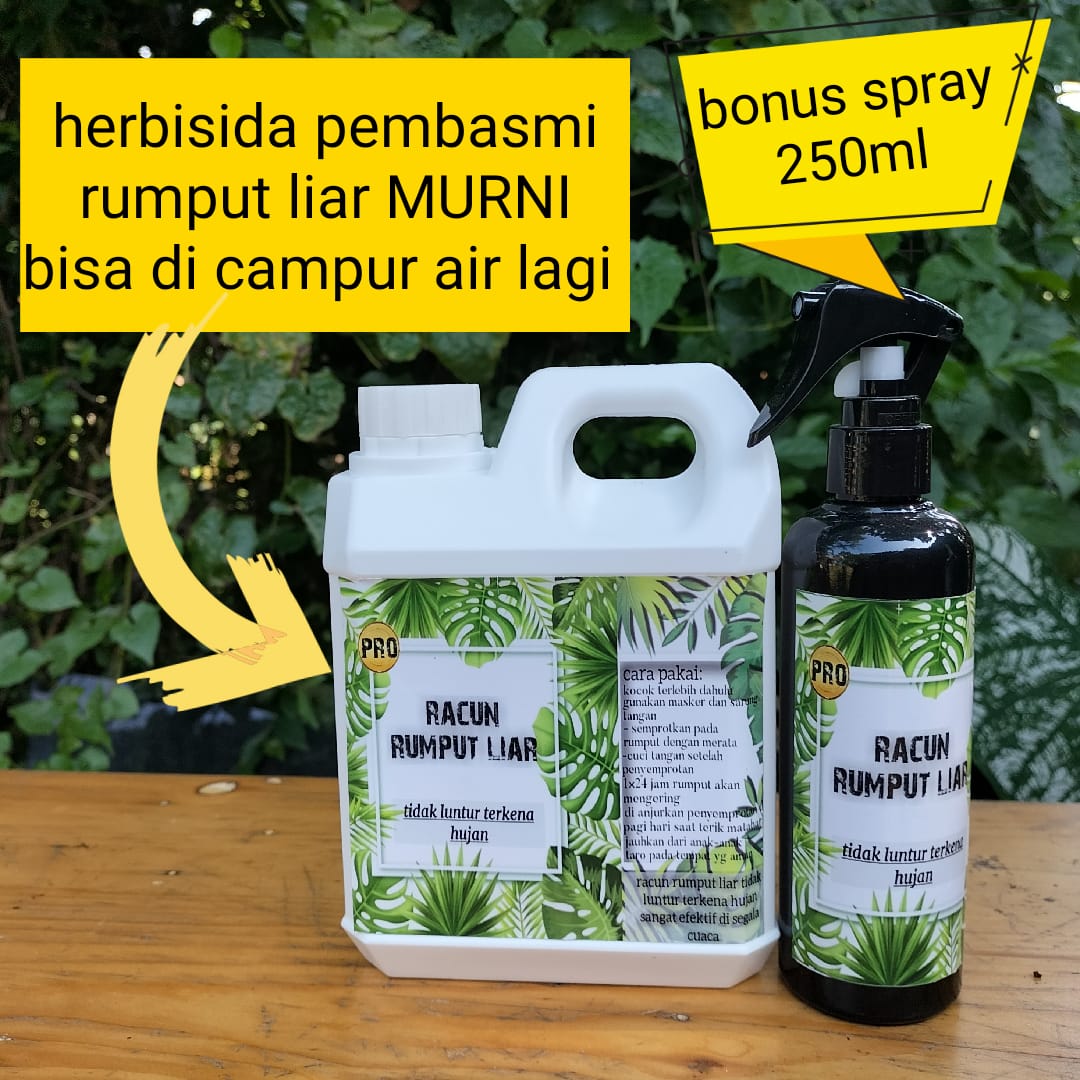 HERBSIDA RACUN RUMPUT MATI SAMPAI AKAR 1L+250ML SANGAT AMPUH MEMBASMI ...