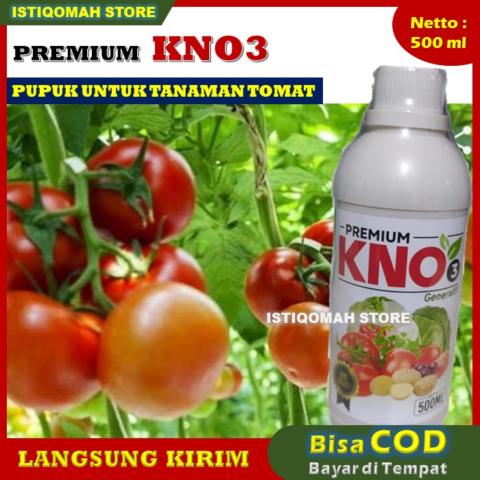 PREMIUM KNO3 Obat Pelebat Bunga dan Buah Tanaman Tomat Pupuk Booster untuk Meningkatkan Kualitas ...