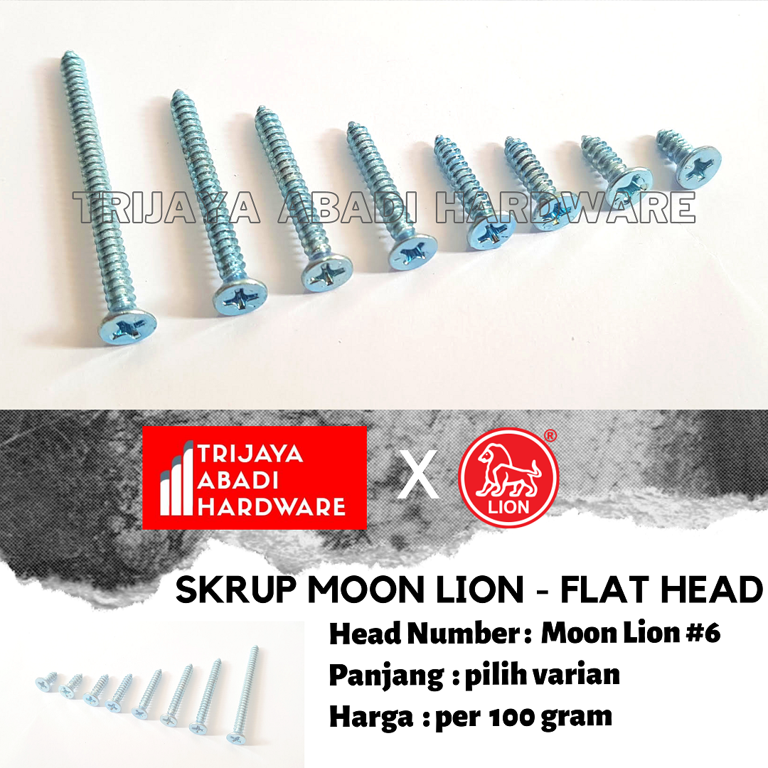 Skrup Moon Lion #6 Flat Head Tap Screw | Lazada Indonesia