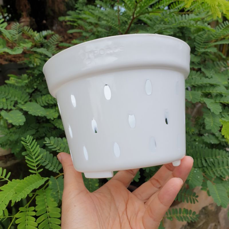 (1pc) NKT POROS BASIC 15 (15cm) BANYAK LUBANG : pot bunga basic polos ...