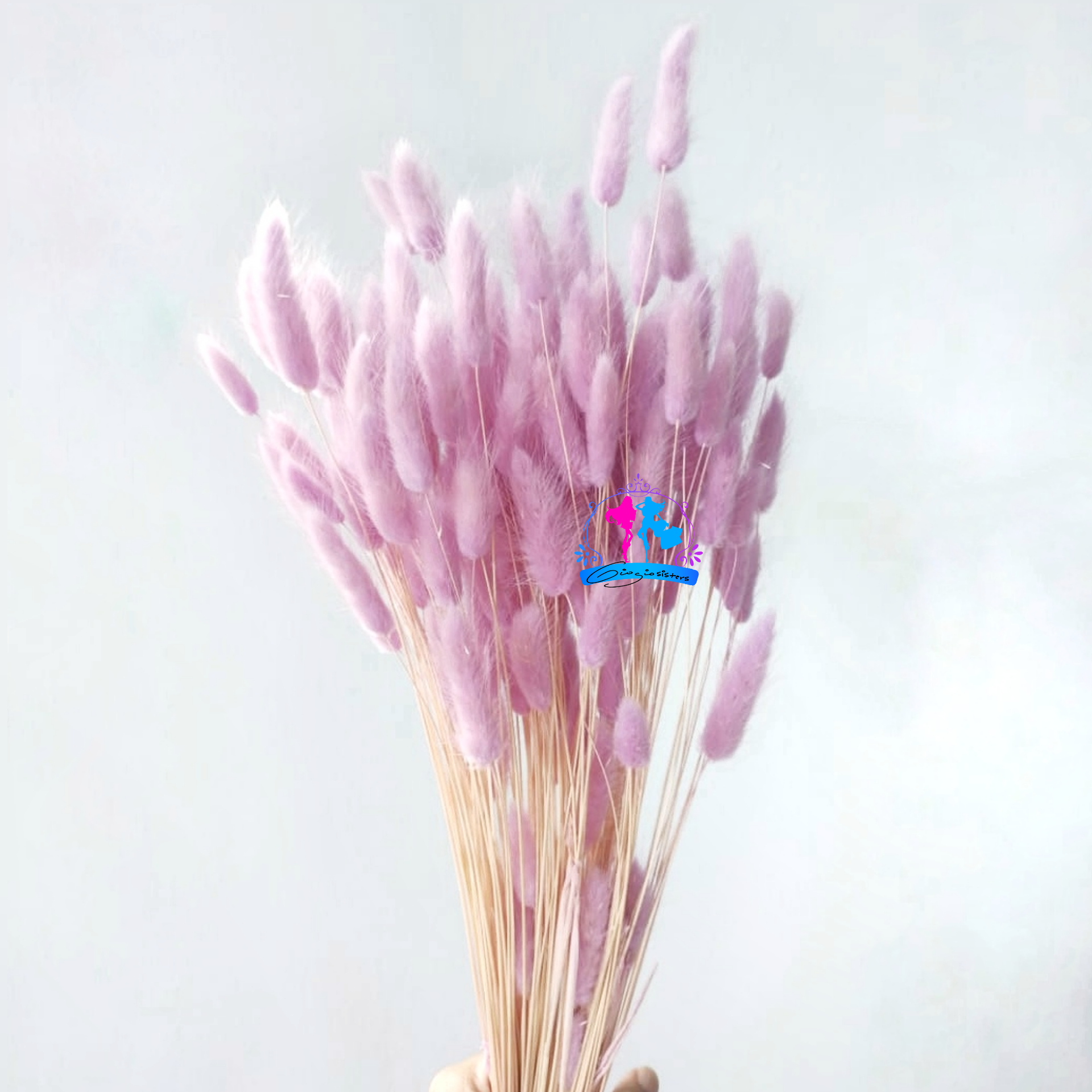 Dried Flower Bunny Tail MILKA (Merah Muda Ungu) | Bunga Kering Lagurus Ovatus Soft Pink Purple 1 ...