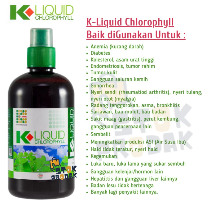 Chlorophyll K Link 500 ml kloropil klorofil kloropyl cloropil clorofil ...