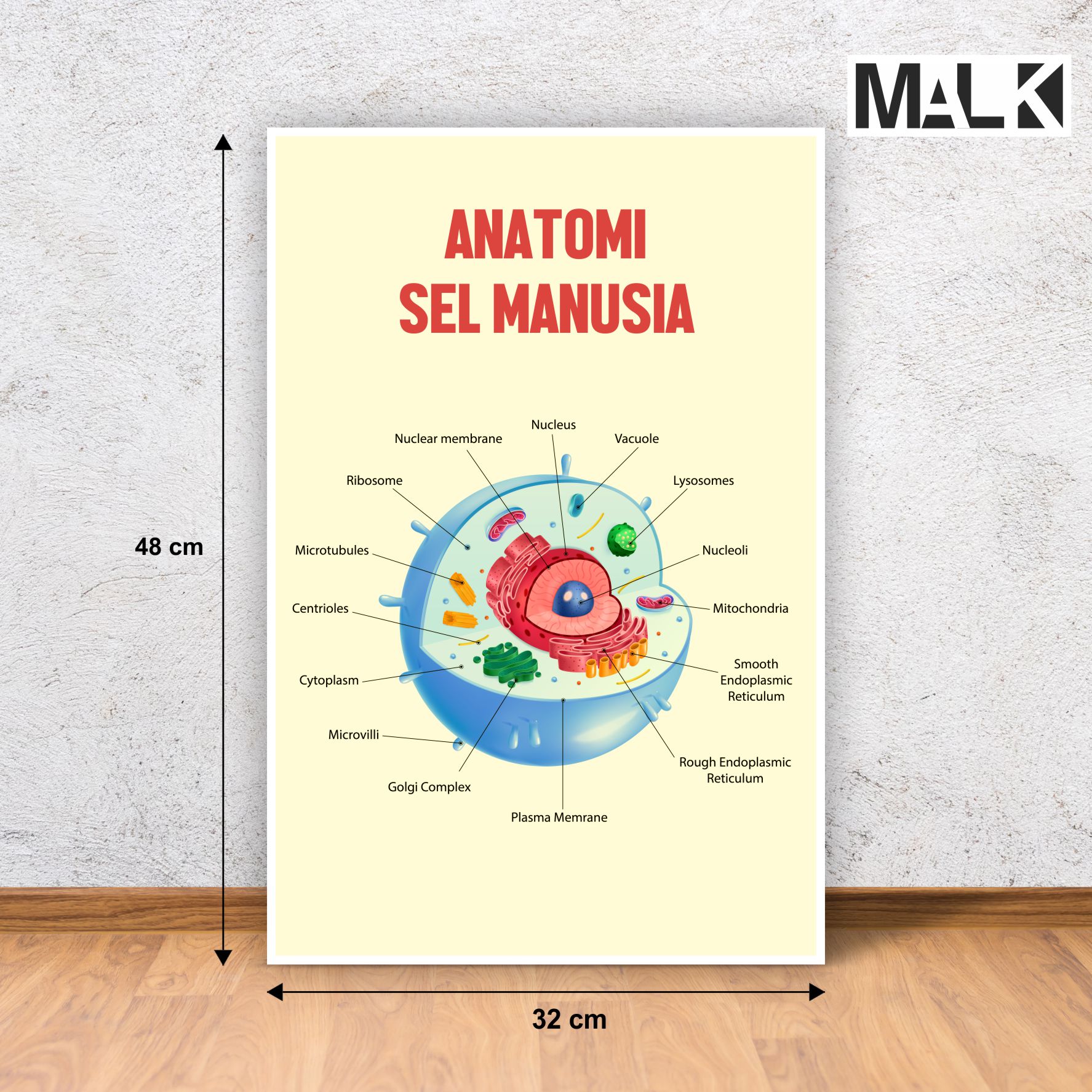 Poster ANATOMI SEL TUBUH MANUSIA | Lazada Indonesia