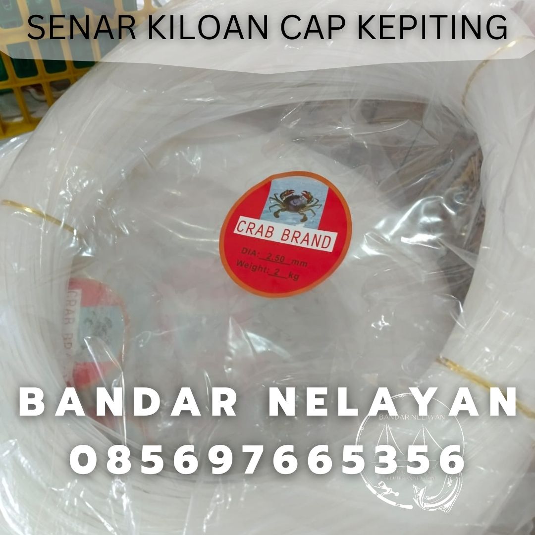 SENAR PANCING KILOAN TERSEDIA BERBAGAI UKURAN (TINGGAL PILIH VARIAN ...