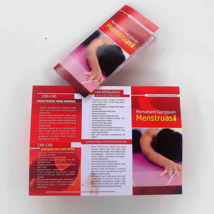 Media Promosi Kesehatan, Leaflet / Brosur Menstruasi Poster Kesehatan | Lazada Indonesia
