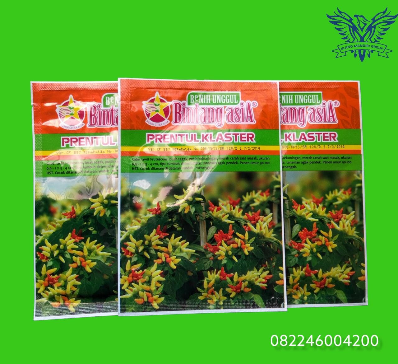 Benih Cabai Prentul Klaster 10gram Cabe Rawit Bintang Asia | Lazada ...