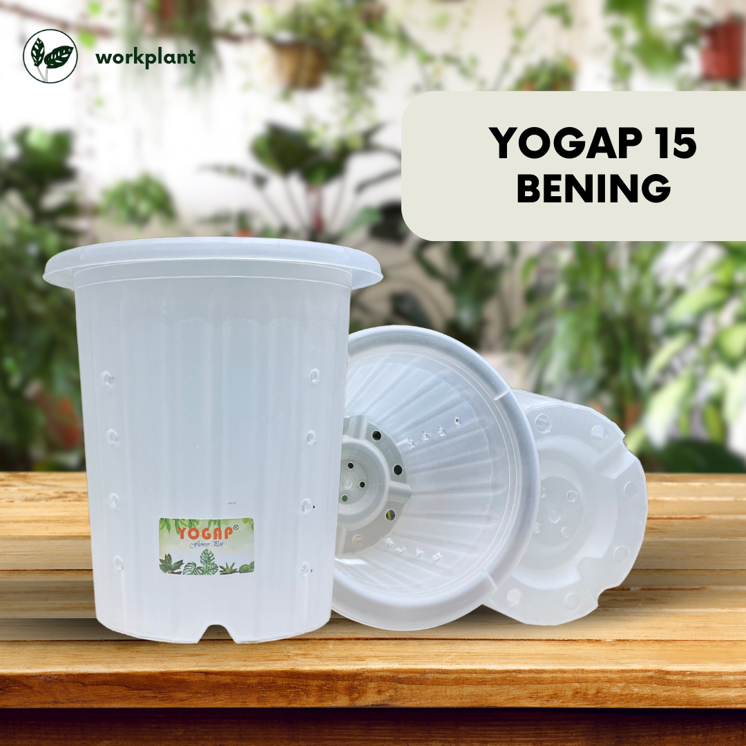 Pot Yogap (Extra Drainase) - Ukuran 15 Pot Bunga Tanaman Hias Kualitas ...