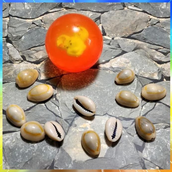 biji bola bekel | Lazada Indonesia