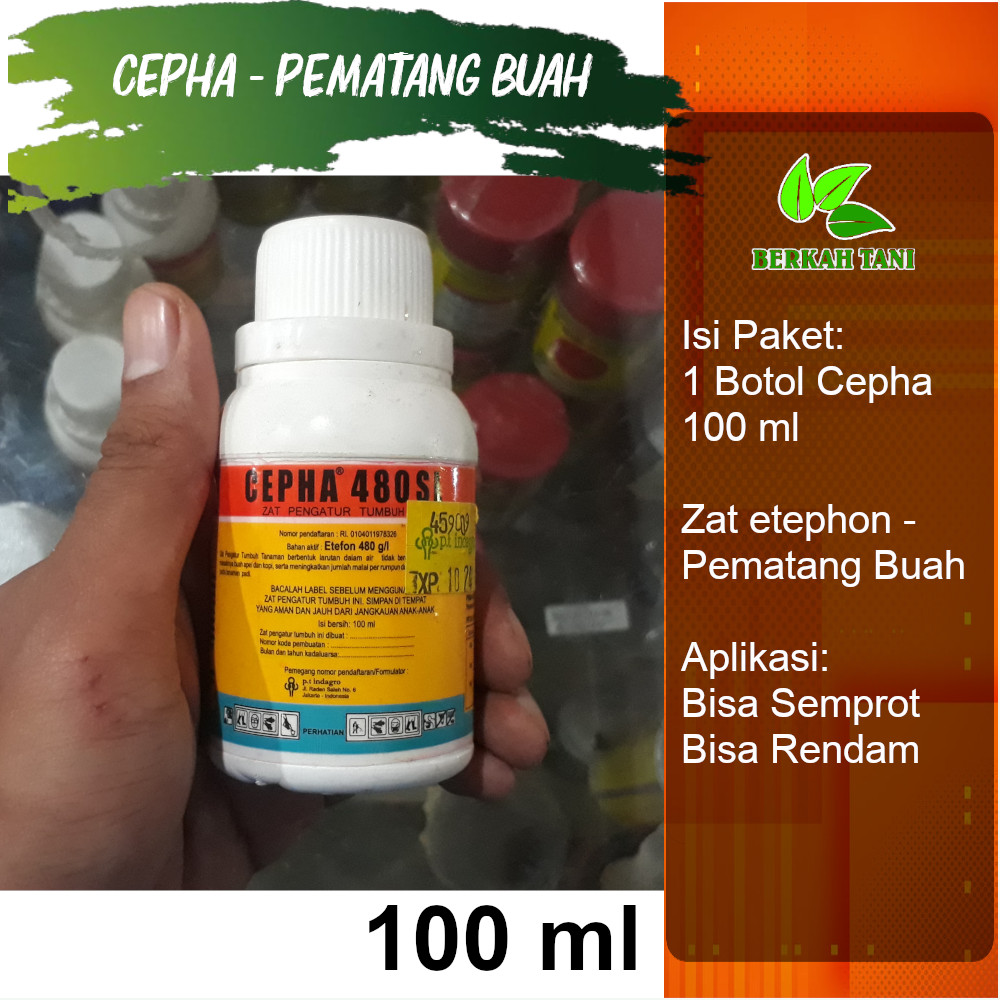 Cepha 480SL 100 ml Hormon Pematang Buah Pemercepat Pematangan Buah ...