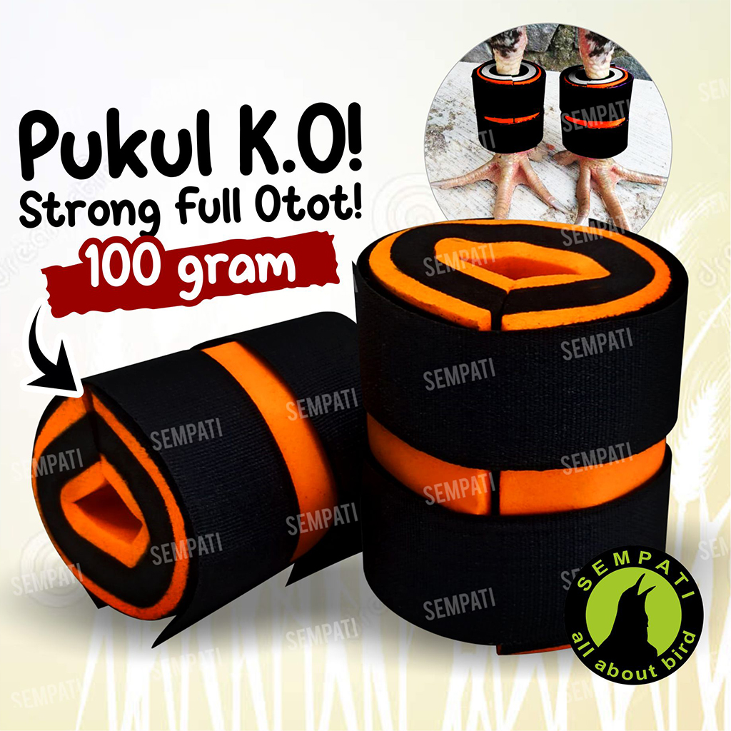 SEMPATI Barbel Ayam Jago Paket Begel Ayam Bangkok Satu Pasang Pemberat ...