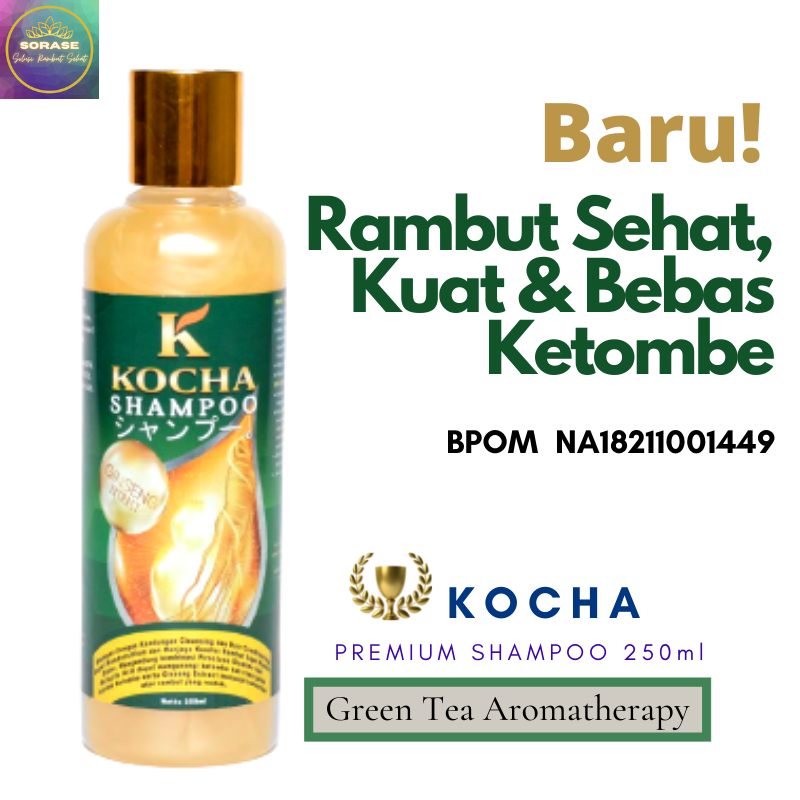 kocha shampoo ketombe dan rambut rontok original 250ml sampo anti ketombe dan rontok shampoo ...