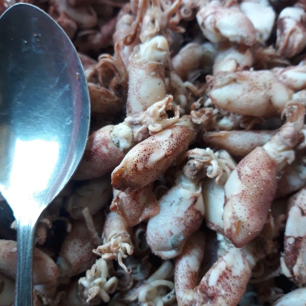 Cumi Baby Rebus/Baby Cumi Asin Fresh 500 Gram ukuran 1-4 CM Murah Enak ...