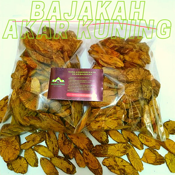 Kayu AKar Bajakah Kuning Akar Kuning 250gram Asli Kalimantan | Lazada ...