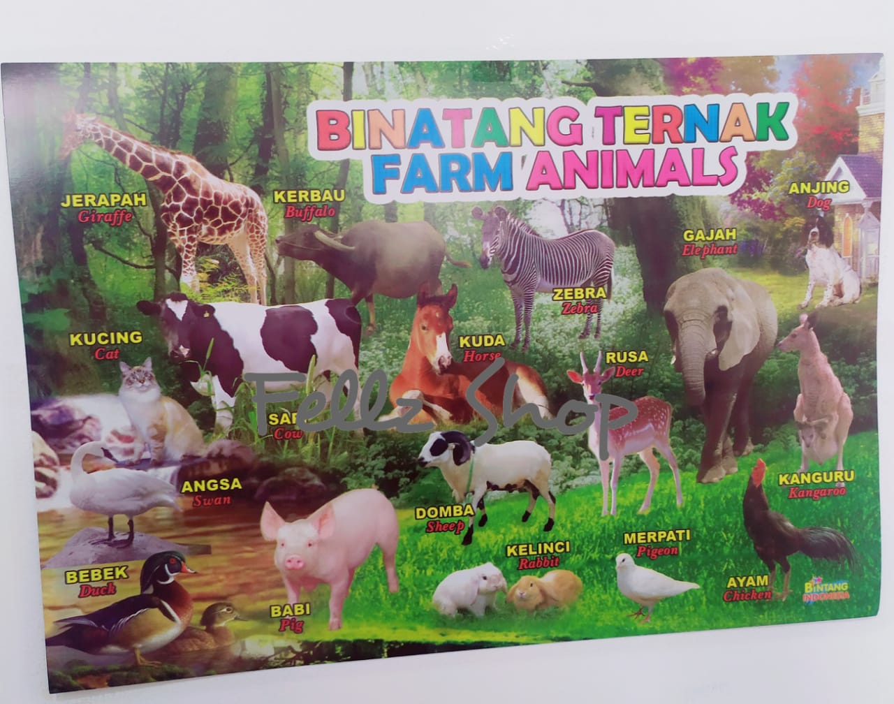 FS - 6 Pc Poster Gambar Binatang Ternak Ternak Farm Animals | Lazada ...