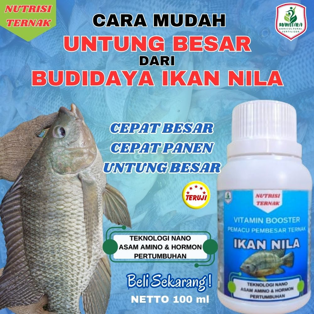 Vitamin Ikan Nila Pakan Nila Vitamin Penambah Nafsu Makan Ikan Nila Agar Pertumbuhan Cepat Besar ...