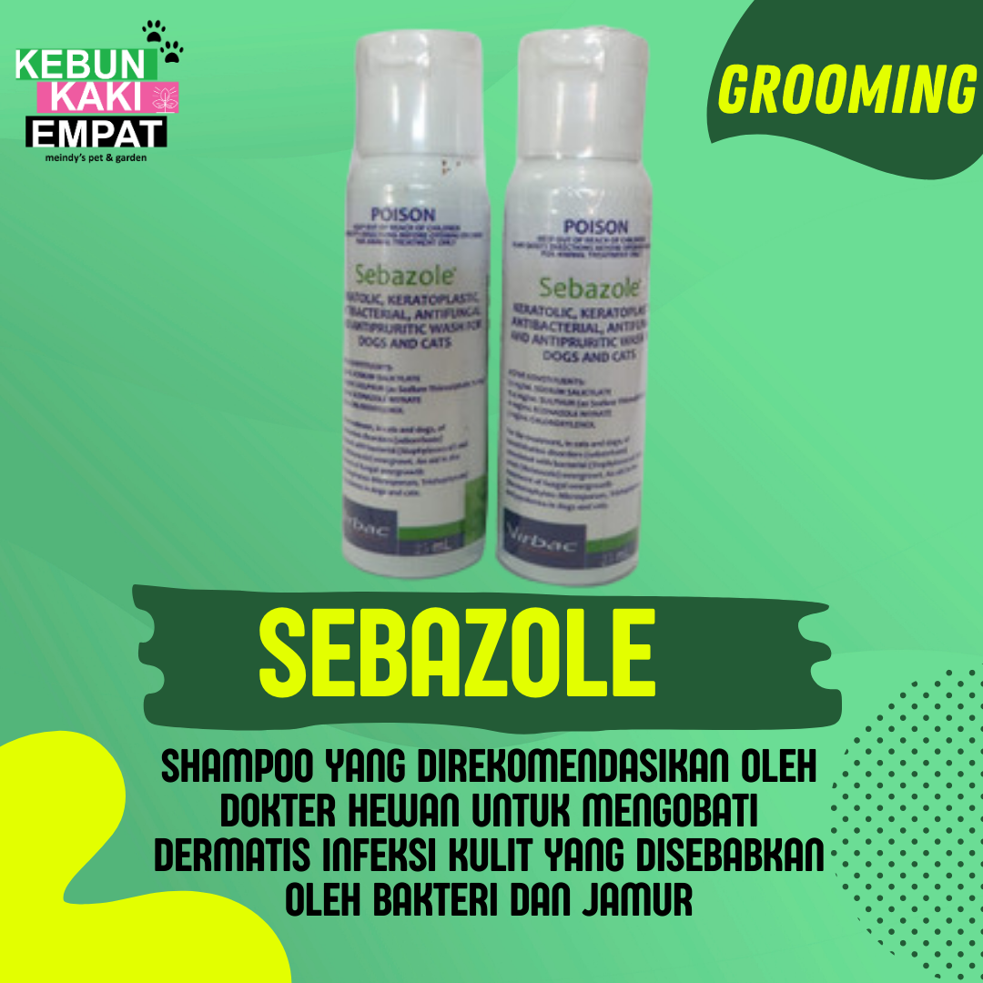 Shampo Sebazole 25 ml Sampo Untuk Mengatasi Jamur | Lazada Indonesia