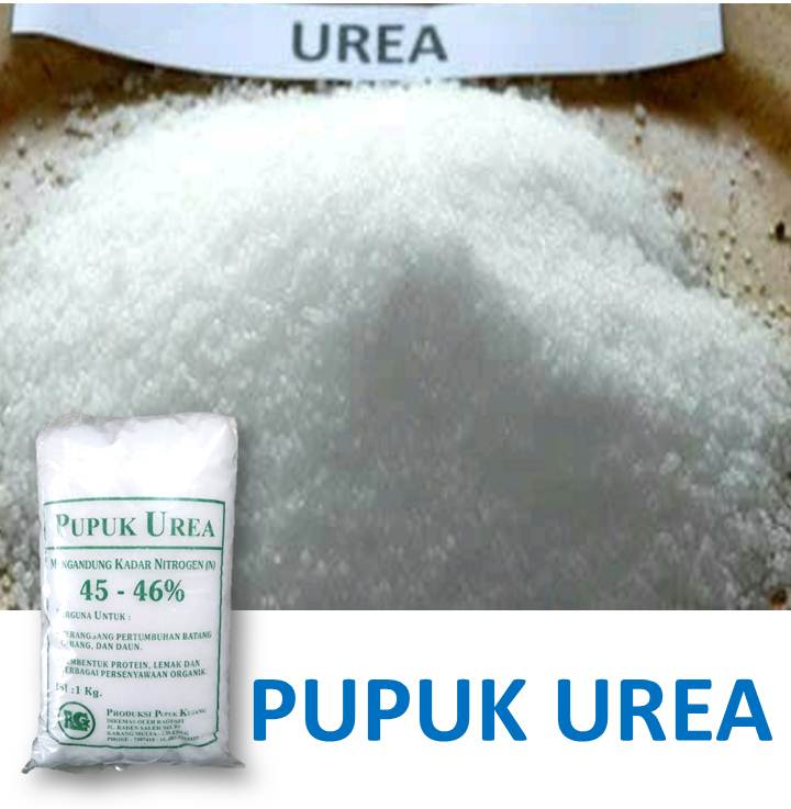 PUPUK urea putih penyubur tanaman,500 gram / setengah kg | Lazada Indonesia