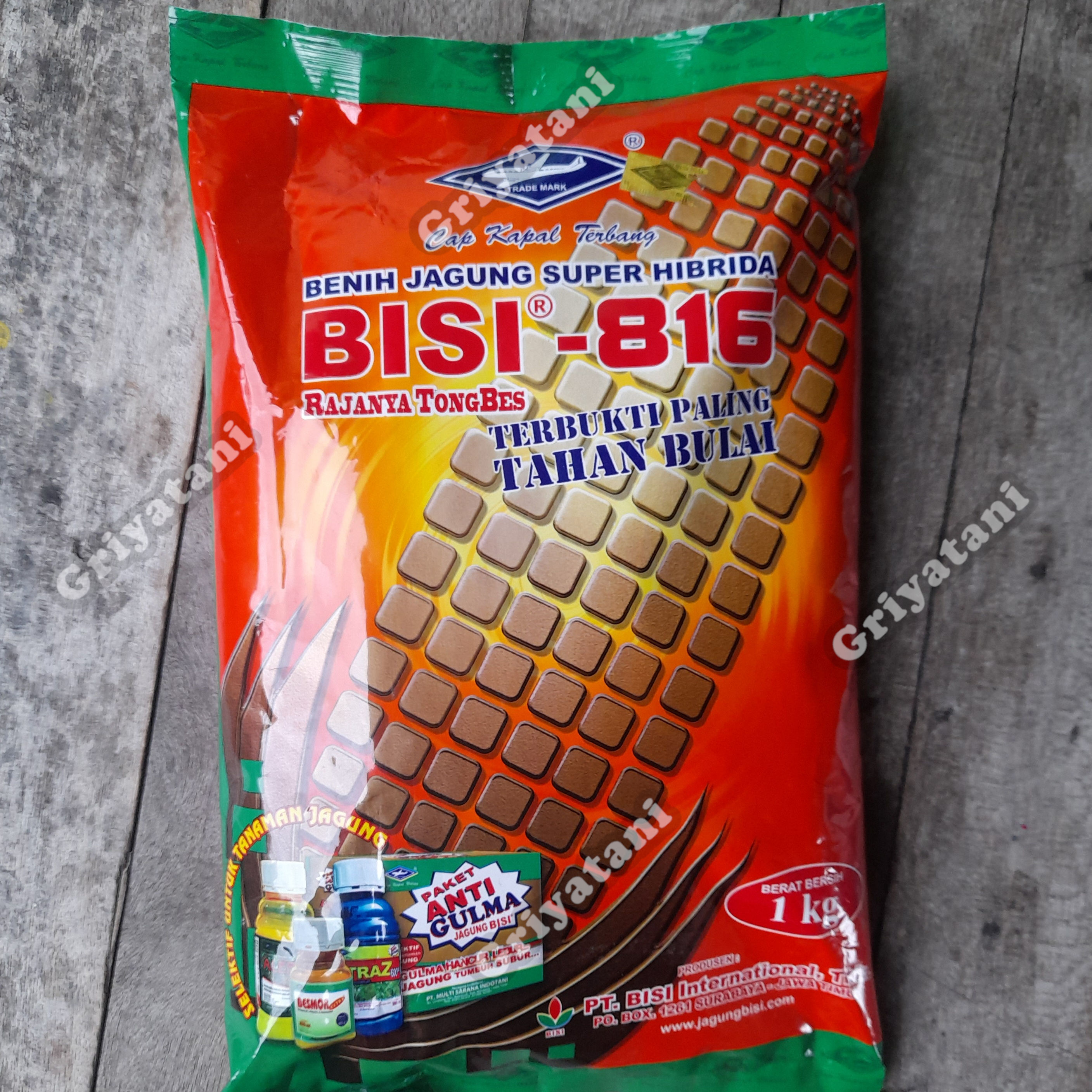 Benih Jagung Hibrida Bisi 816 1 Kg | Lazada Indonesia