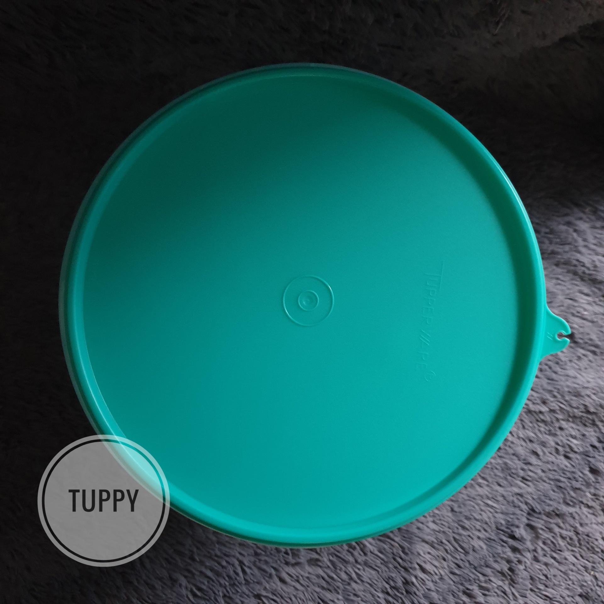 Tupperware Seal Tutup Giant Canister Tupperware Marun | Lazada Indonesia