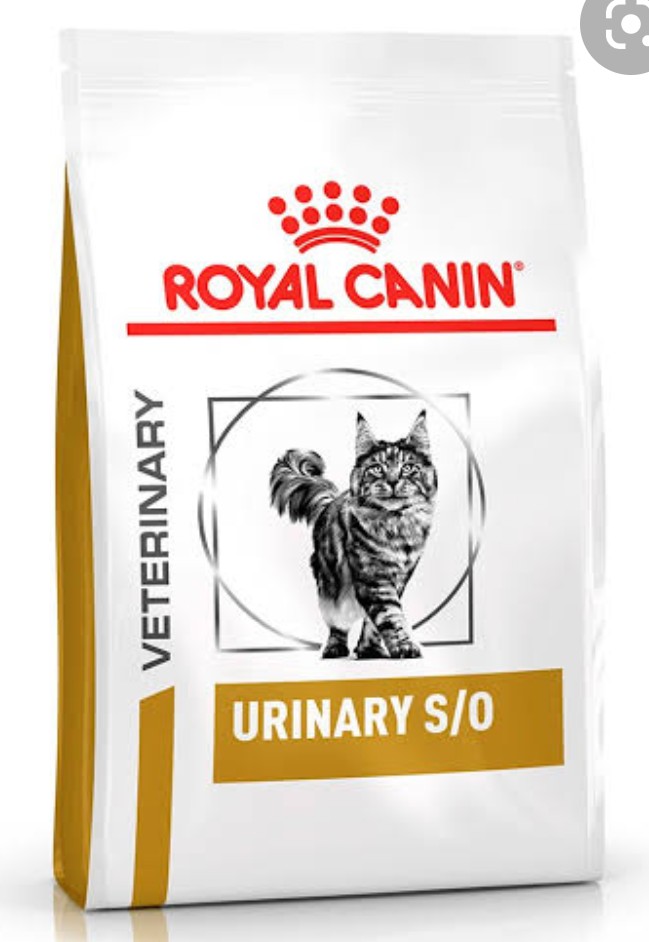 ROYAL CANIN URINARY SO CAT 400 GR-ROYAL CANIN URINARY SO DRYFOOD ...