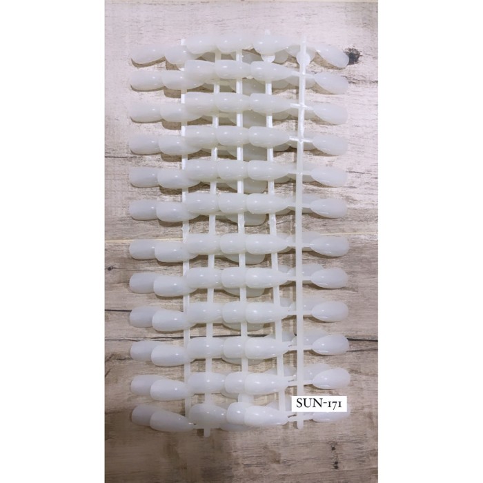 DISPLAY KUKU NATURAL 1 PAPAN (24 SLOT) DISPLAY WARNA KUTEK CONTOH KUKU ...