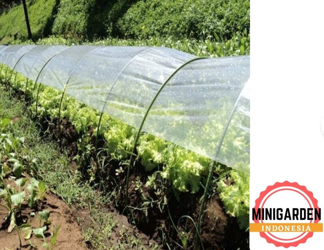 SUNGKUP TANAMAN MODERN PIPE TUNNEL KUALITAS JEPANG 150 CM rangka ...