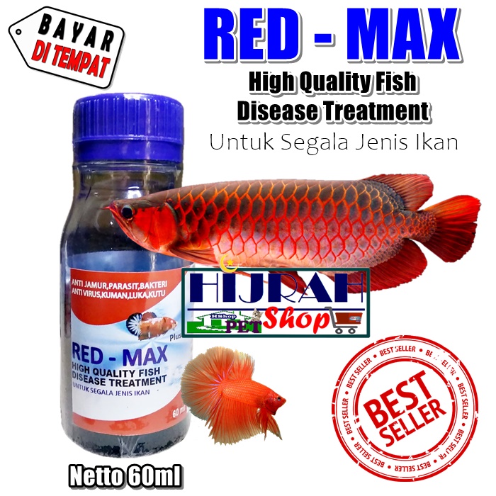 Obat Ikan Obat Segala Jenis Ikan Menyembuhkan Penyakit Ikan Jamur ...