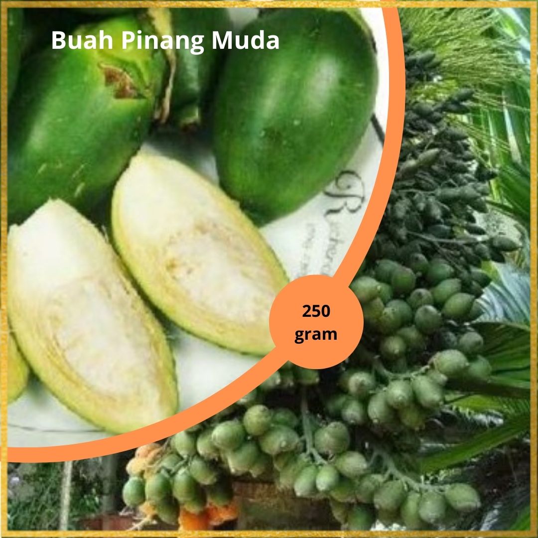 Pinang Muda Segar Jambe Hijau Herbal Stamina 250 Gram | Lazada Indonesia