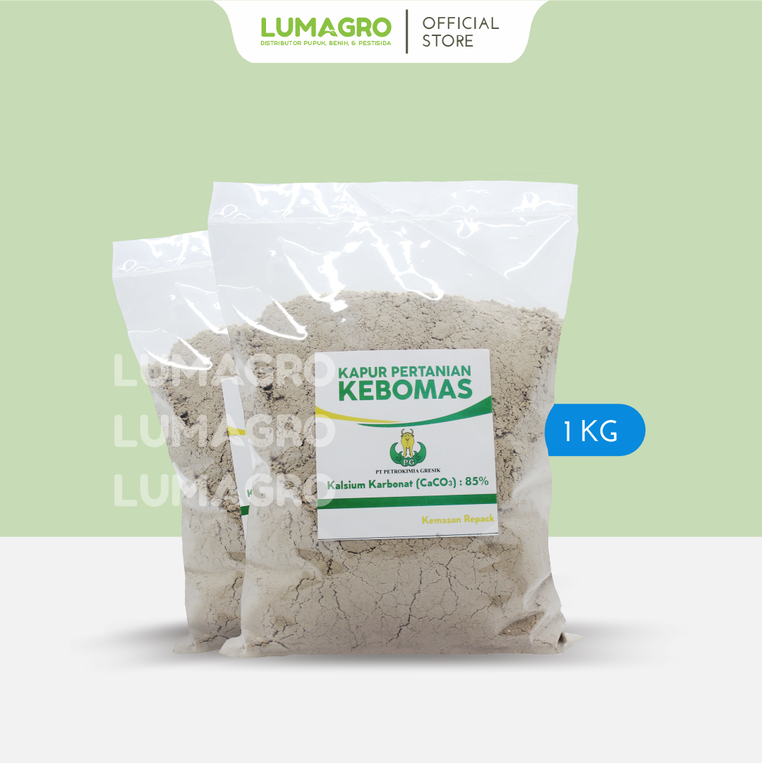 Pupuk Kebomas 1kg 500gr 100gr Repack Kalsium Karbonat Pencegah Asem ...