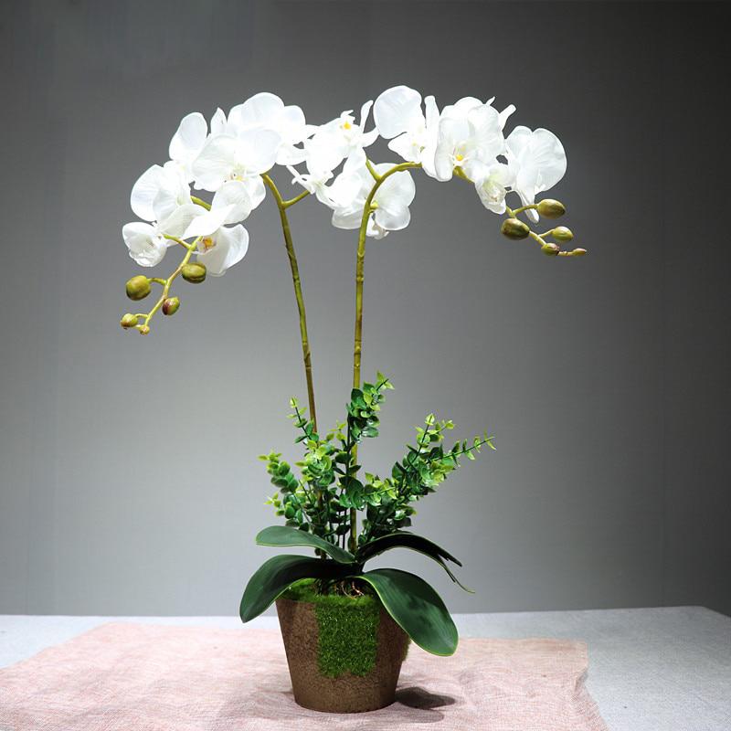 Naindo Bunga Anggrek Bulan Latex set hiasan ruang tamu dan kantor 70 cm ...