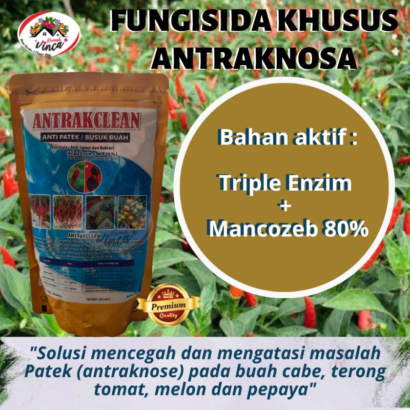 Pestisida Fungisida Racun Jamur Khusus Antraknosa Patek ANTRAKCLEAN ...